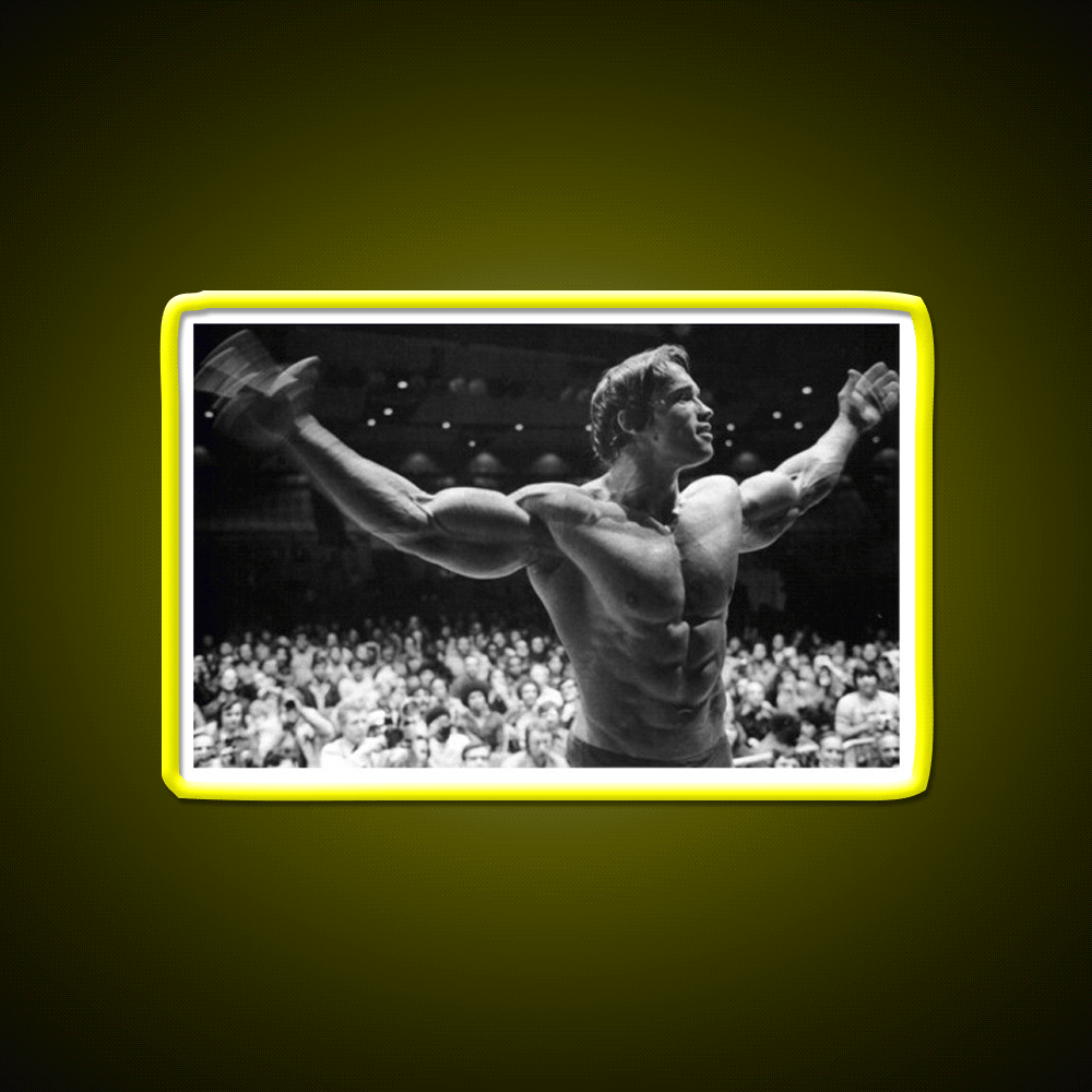 arnold-schwarzenegger-hd-iconic-pose-gym-fitness-led-neon-sign-rgb ...