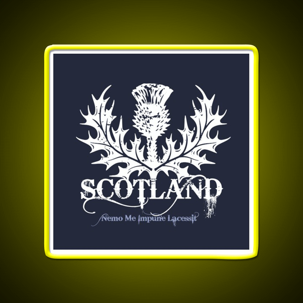 Scotland Whiskey Drink Bar Led Neon Sign Rgb Color - Shineneon